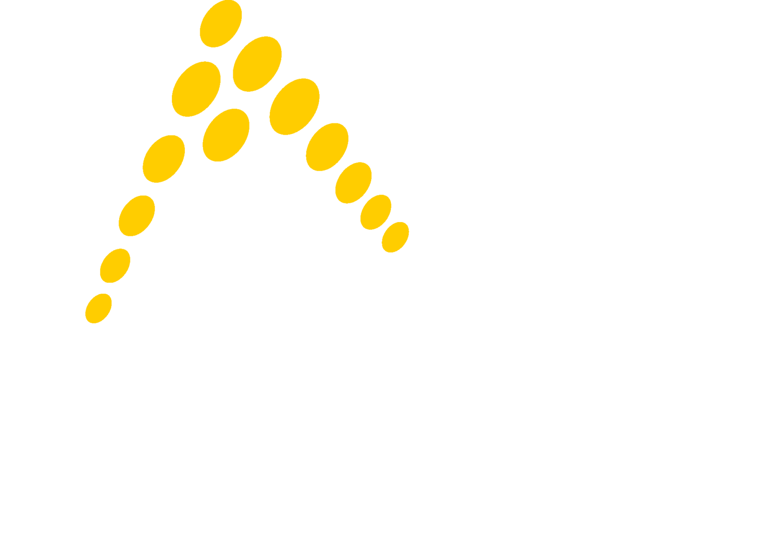 Statutory Supervisor Course (Jandakot) | Aveling | RTO 50503